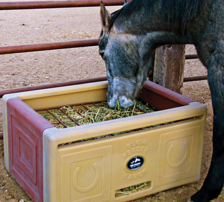 Slow Hay Feeder – Small – Dream America